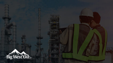 Our Customers | Imubit